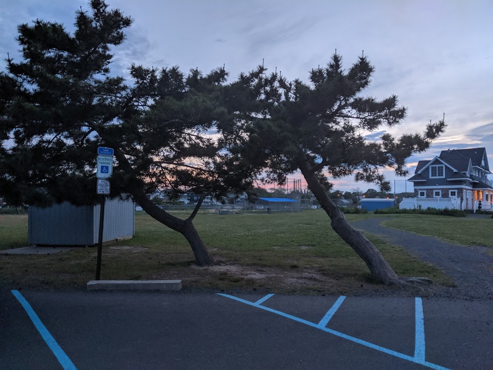 Contact – Ted Merz